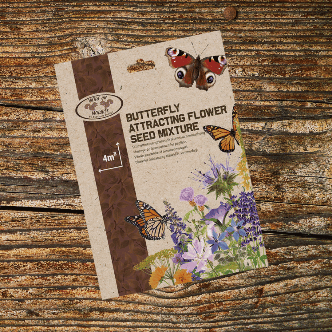 Seeds for Butterflies | Attracting Butterflies to your garden ...