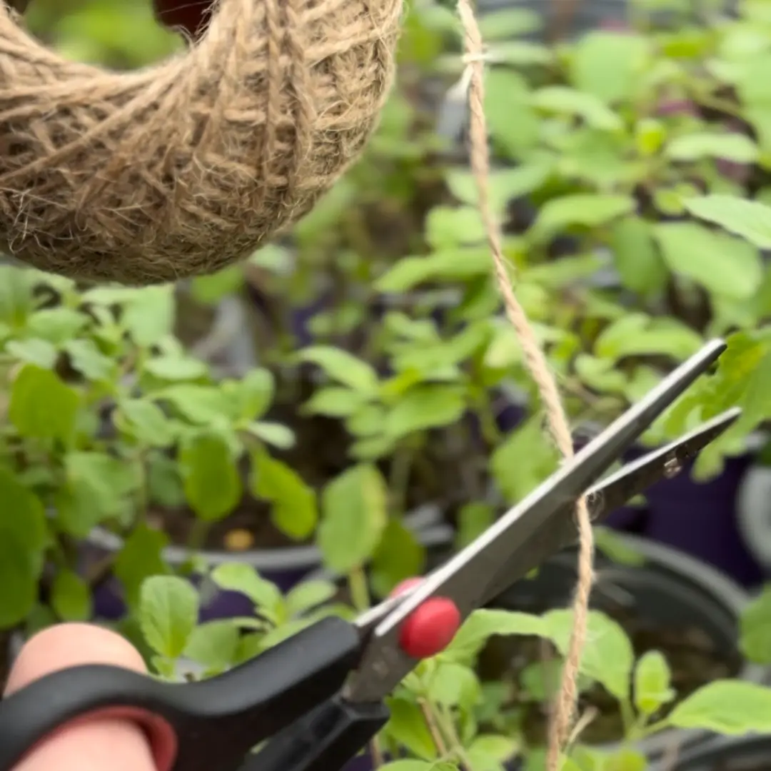 100m Jute Twine Garden Rope | Middleton Nurseries